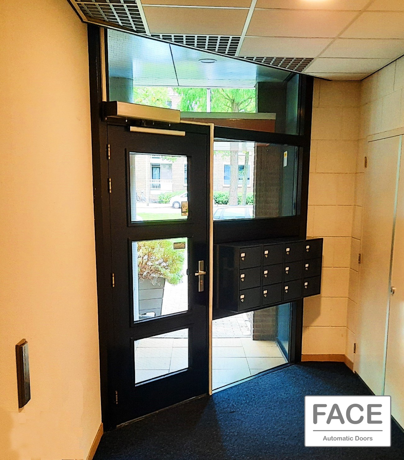 FACE SW80 - Insight Automation